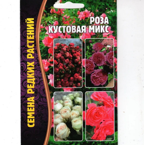 Роза кустовая микс