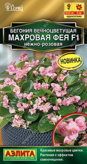 Бегония вечноцветущая «Махровая фея F1 нежно-розовая» — Аэлита